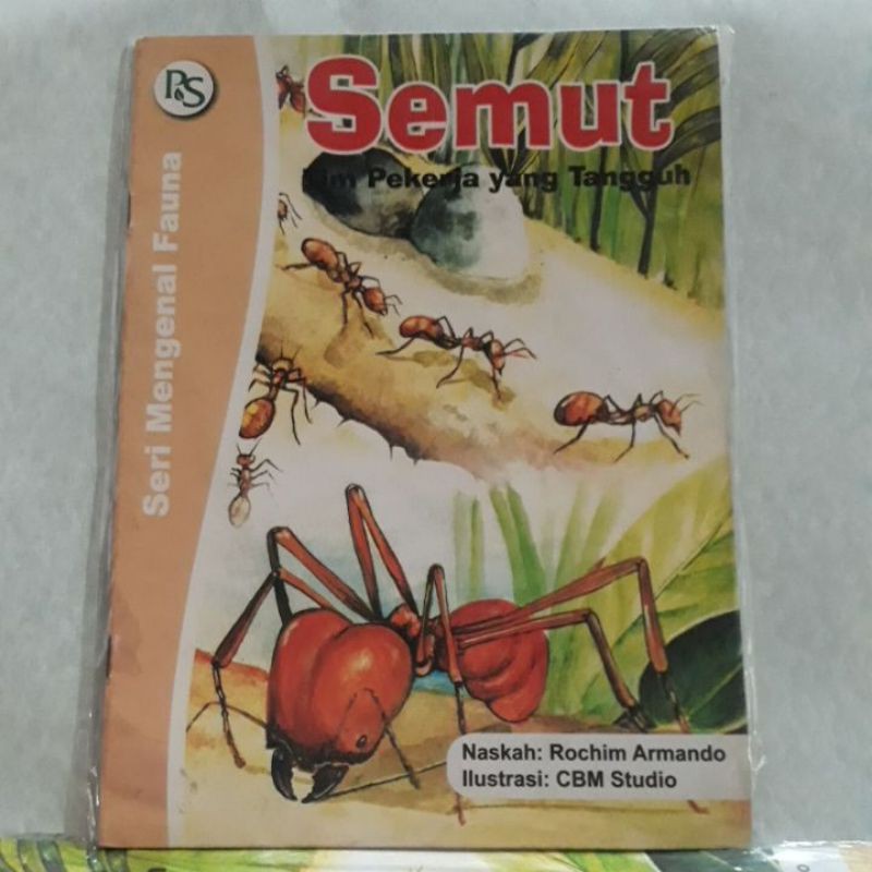 Jual Buku Anak - Semut Tim Pekerja yang Tangguh (Seri Mengenal Fauna ...