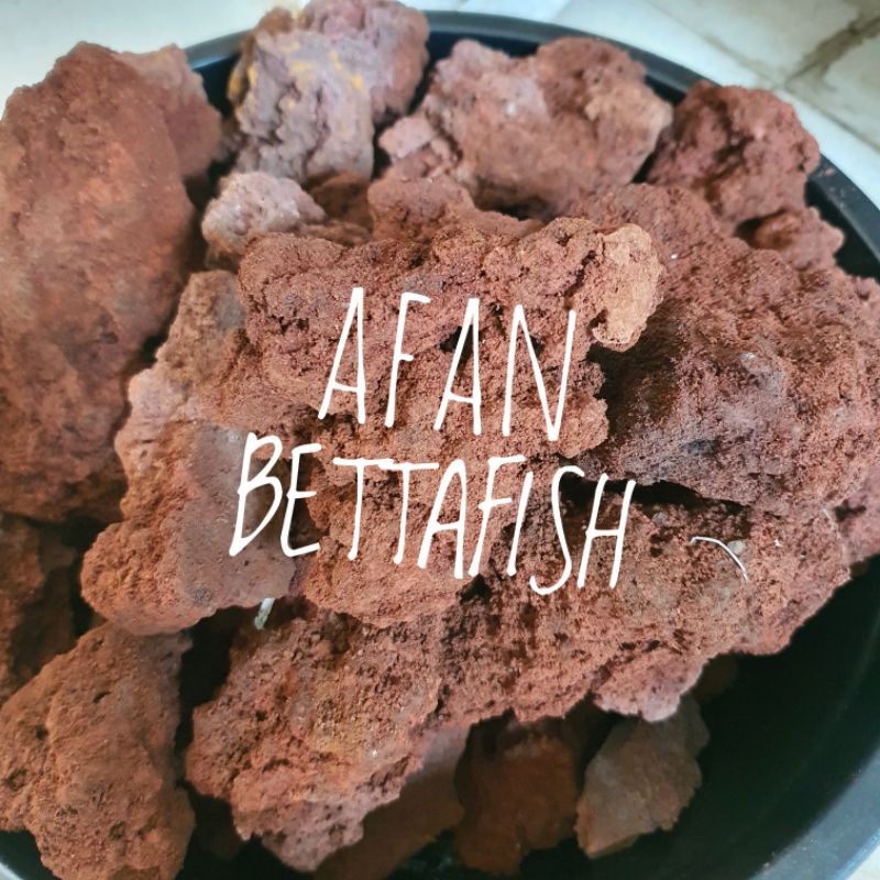 Jual Batu Lavarock Merah 1KG / Batu Lava Rock Aquascape Aquarium ...