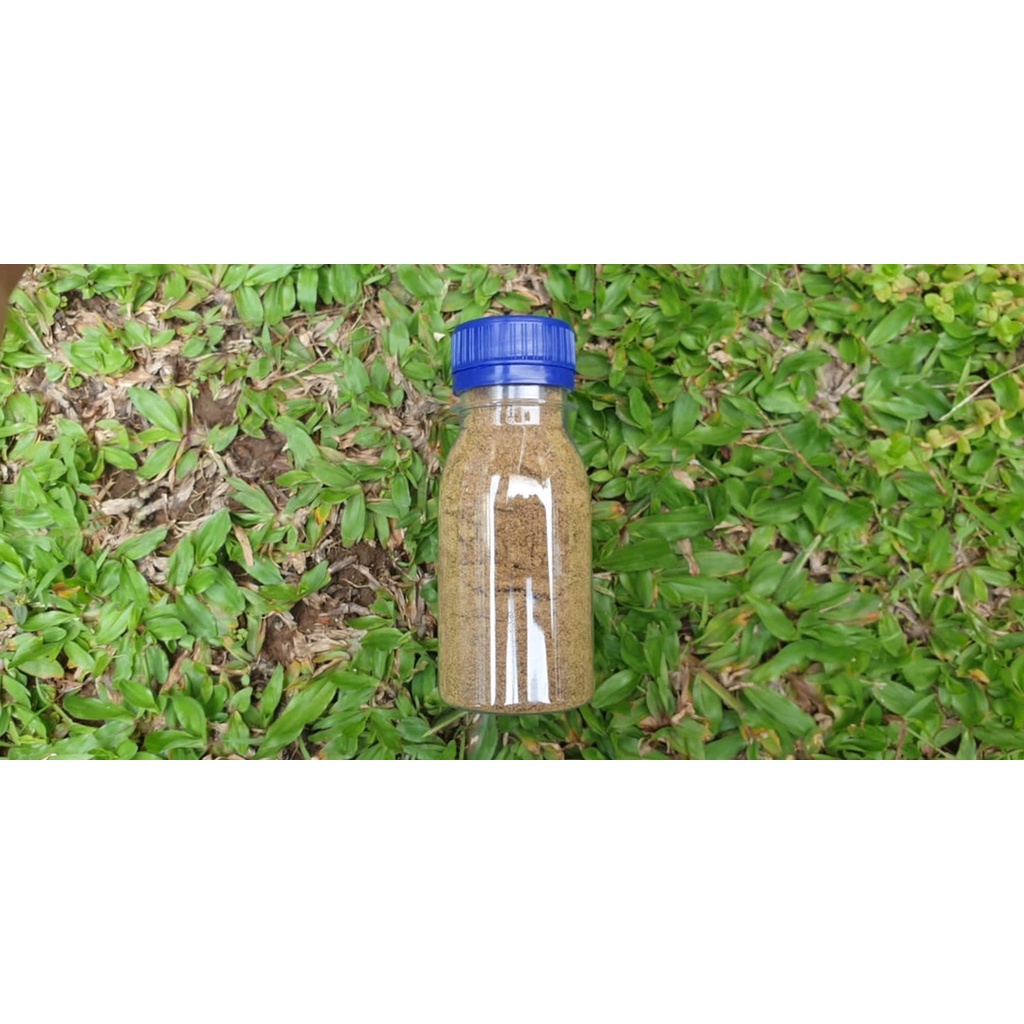 Jual Pelet Khusus untuk Brushmouth Udang Hias Platy Guppy Cupang ...