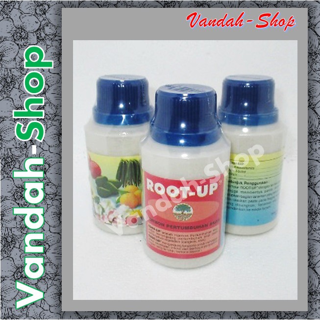 Jual Root Up Hormon Pertumbuhan Akar Vegetatif 100gr | Shopee Indonesia