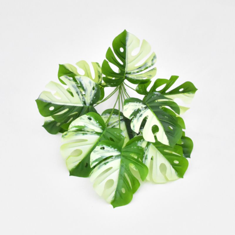 Jual DAUN CERIMAN PUTIH 12DAUN 50CM | Shopee Indonesia