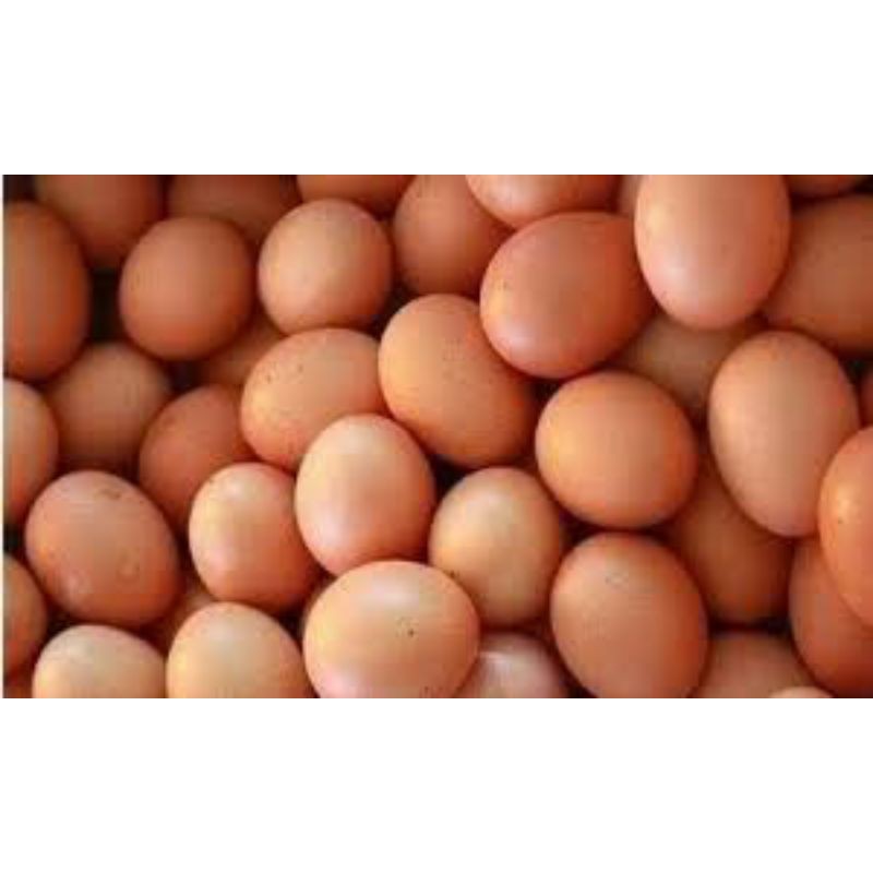 Jual Telur Ayam Ras | Shopee Indonesia