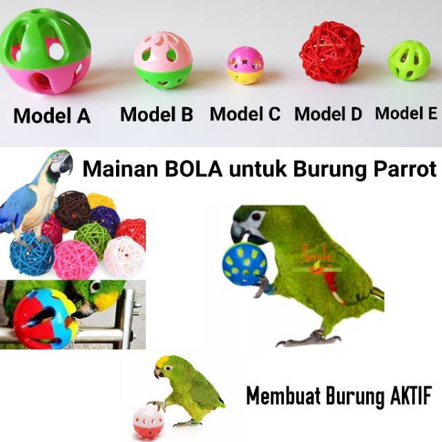 Jual Bola Mainan Burung Parrot Model C | Shopee Indonesia
