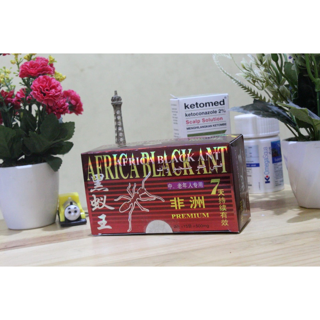 Jual SEMUT HITAM ORIGINAL 1 BOX ISI 15 SACHET / SEMUT HITAM AFRIKA ...