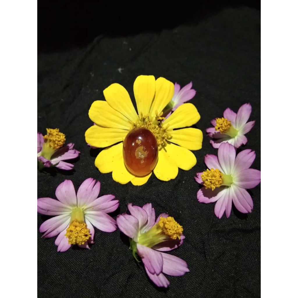 Jual Batu Mustika Akik Darah | Shopee Indonesia