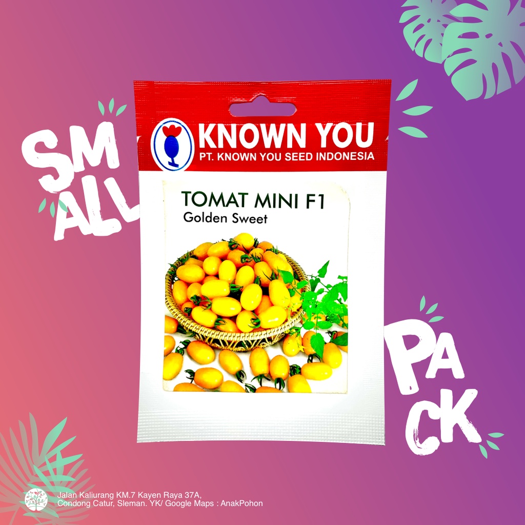 Jual (1 PACK) Benih Tomat Mini F1 Golden Sweet Tomat Cherry Kuning ...