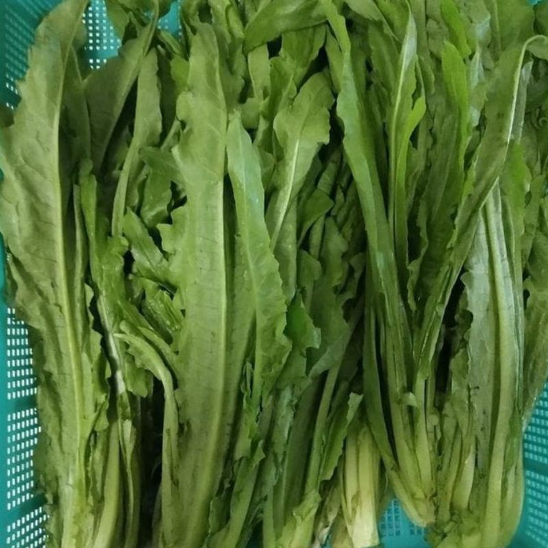 Jual Sayur Siomak/Fumak Hijau 1 Kg Fresh | Shopee Indonesia