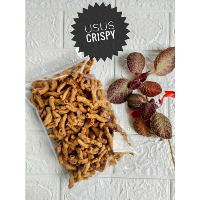 Jual Usus ayam Crispy rasa Original 500 gram | Shopee Indonesia