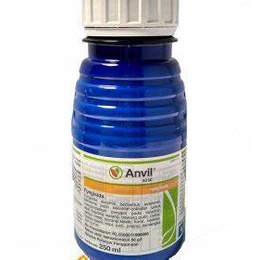 Jual Fungisida Anvil 50 SC 250 ml | Shopee Indonesia