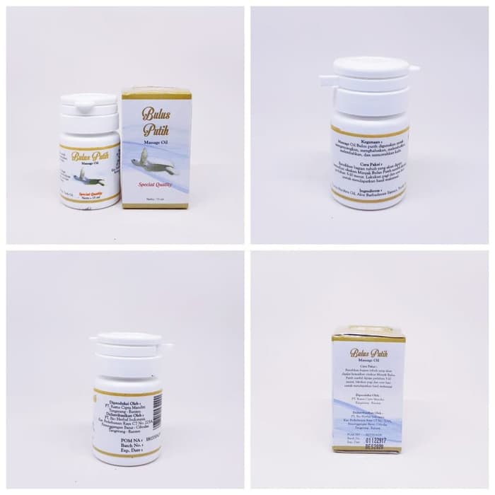 Jual Minyak Bulus Putih - Bulus Putih Massage Oil Original BPOM ...