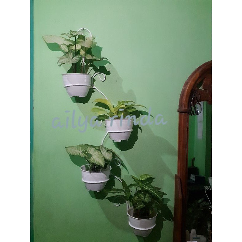 Jual Rak bunga tempel dinding kelok | Shopee Indonesia