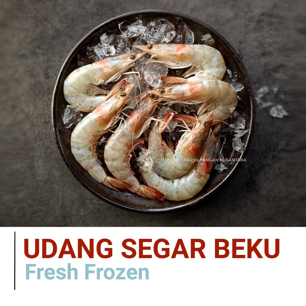 Jual UDANG SEGAR BEKU FRESH 250 GR UDANG SEGAR FROZEN UDANG SEGAR BESAR ...