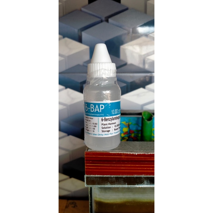Jual Hormon 6 BAP Biru anggrek (Tetes Perangsang Bunga anggrek ...