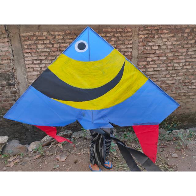 Jual Layangan besar jumbo layang layang pantai besar dari kain | Shopee ...