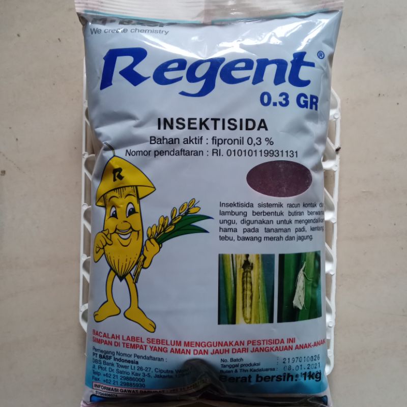 Jual Regent insektisida 0,3 GR 1 Kg | Shopee Indonesia