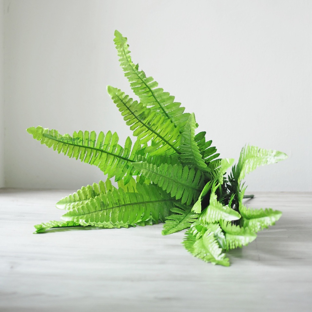 Jual Daun Artificial Pakis Kain Besar Hijau Muda (D19040) | Shopee ...
