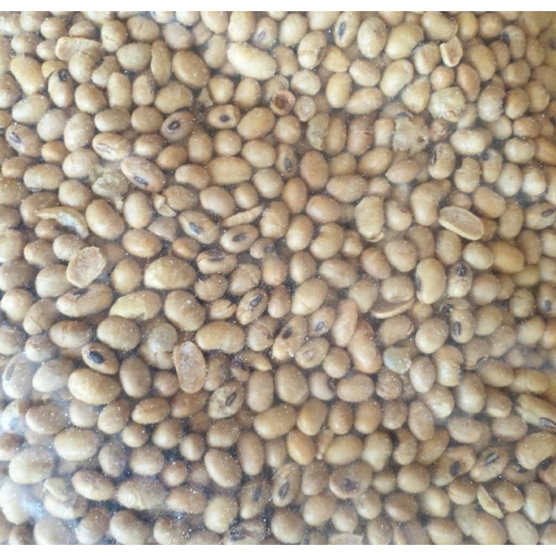 Jual Kacang kedele 250gram | Shopee Indonesia