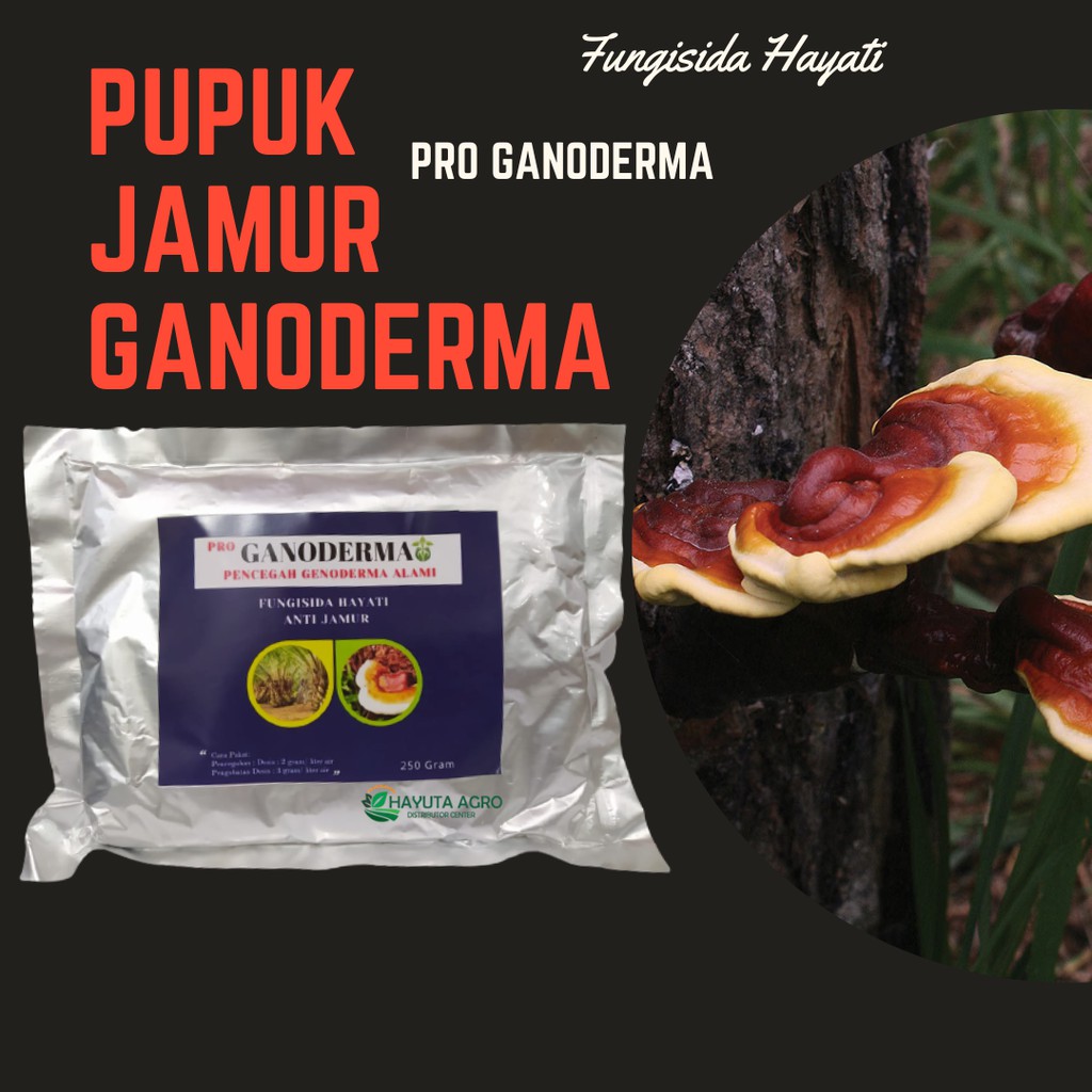 Jual Pupuk Jamur Organik, Nutrisi Pembasmi Jamur Tiram Tanaman , Pupuk ...