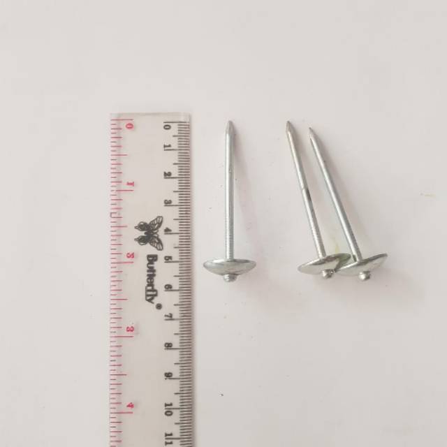 Jual PAKU PAYUNG 5 cm ( 250 gram ) | Shopee Indonesia