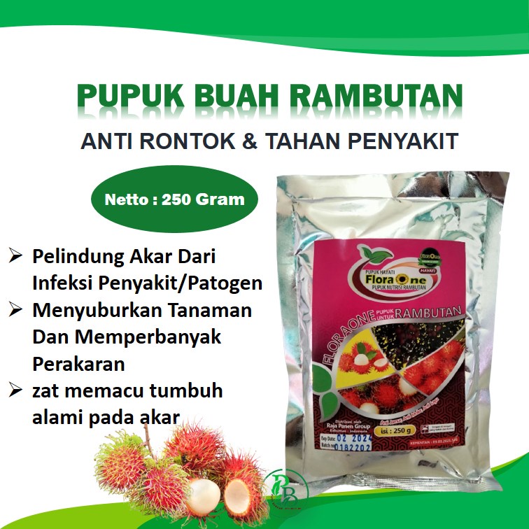 Jual Booster Hayati untuk buah Rambutan isi 250 gr, Pupuk yang baik Pohon Rambutan aceh Cepat ...
