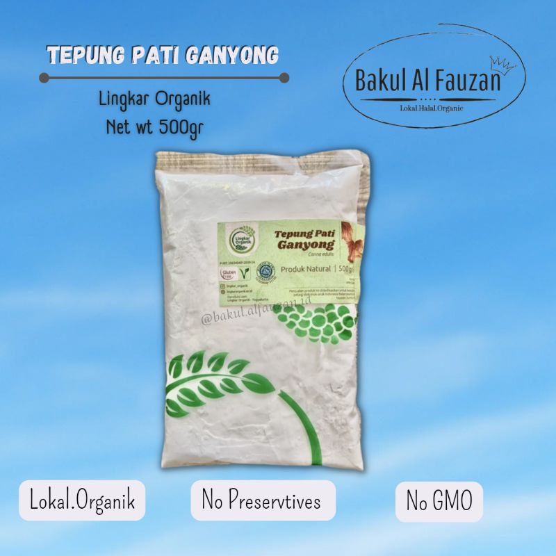 Jual Tepung Pati Ganyong 500gr | Tepung Sehat | Gluten free | Shopee ...