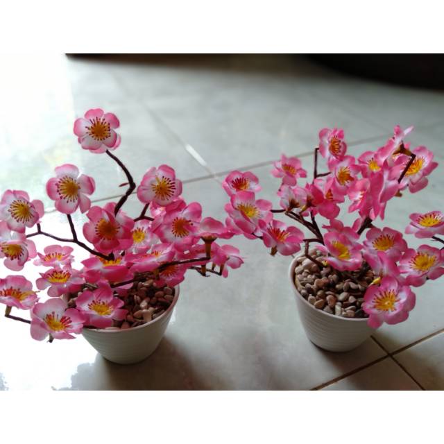 Jual Sakura Mini Shopee Indonesia