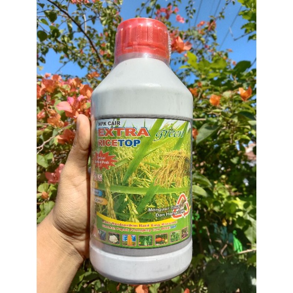 Jual Pupuk NPK cair rice top extragreen Penambah bobot dan anakan padi dan pengusir tikus ...