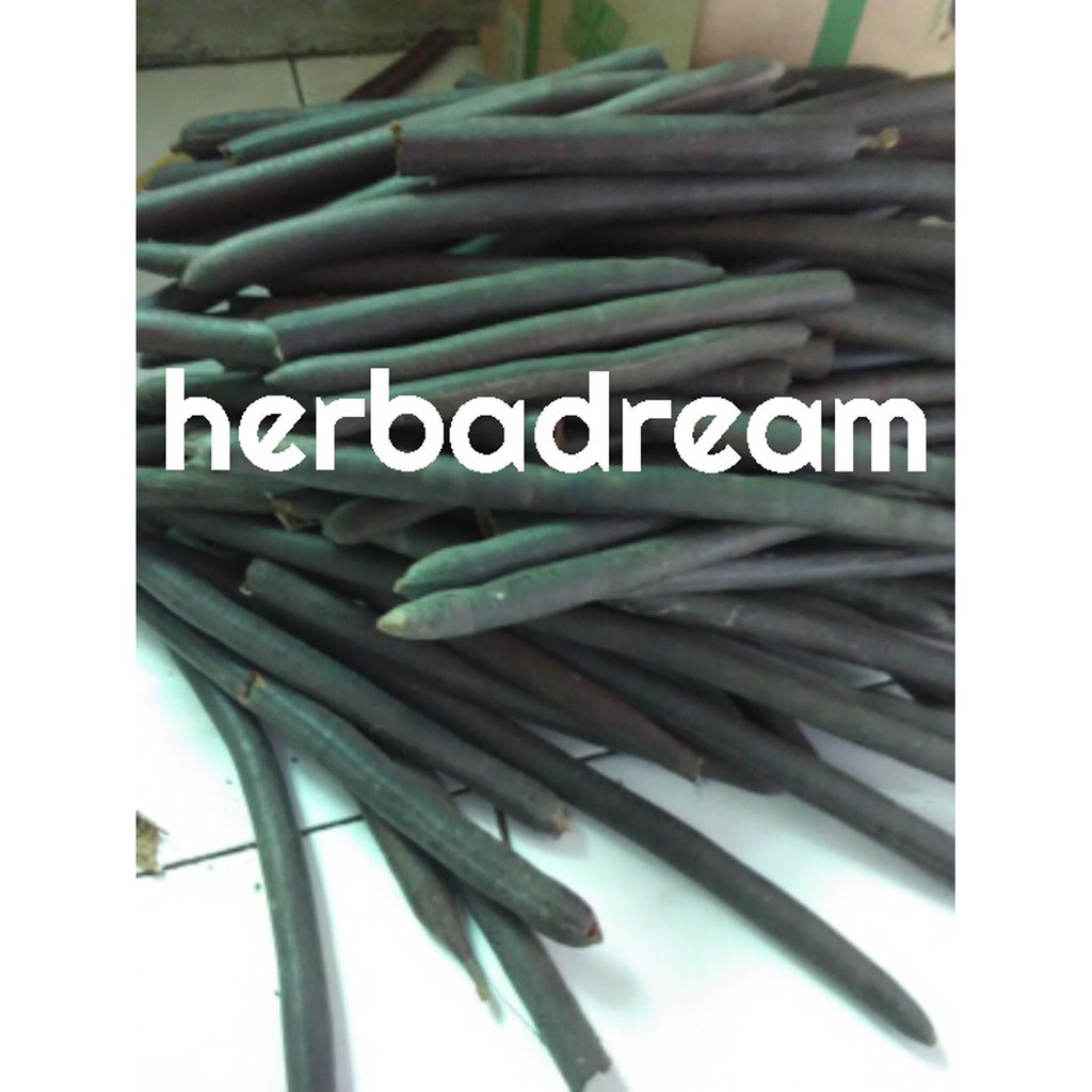 Jual ASAM TRENGGULI KERING 500gr - Cassia fistula - MURNI - JSR ...