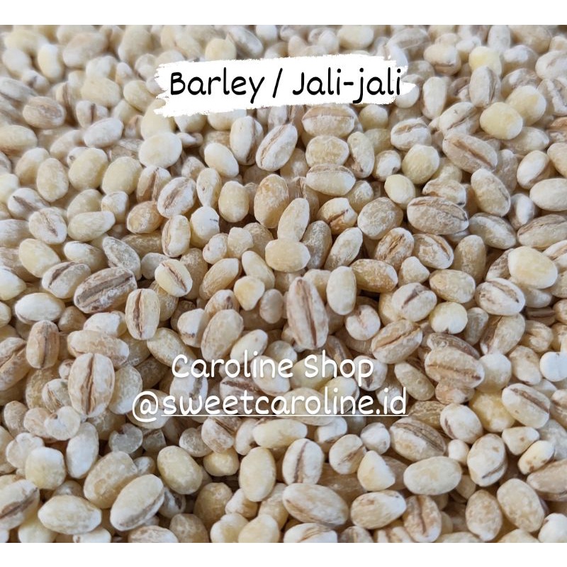 Jual 200gr Barley Biji Jali-Jali | Shopee Indonesia