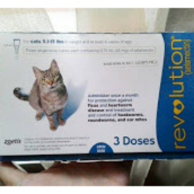 Jual REVOLUTION CAT ADULT (HARGA PER 1 AMPULE) | Shopee Indonesia