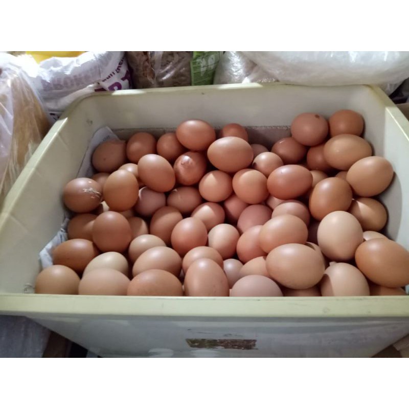 Jual Telur Ayam Curah 1kg (gosend / grab express only) | Shopee Indonesia