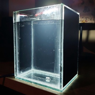 Jual Soliter akuarium P12*L10*T15cm ikan cupang/chana pakai background ...