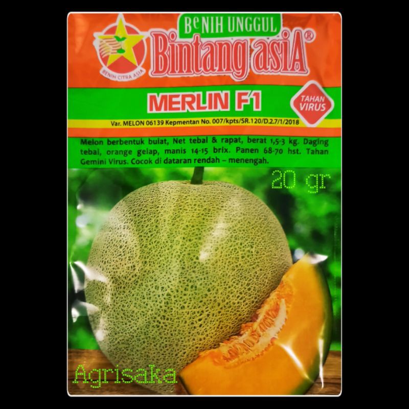 Jual Benih Rock Melon Orange MERLIN F1 20 Gram - Bintang asiA | Shopee ...
