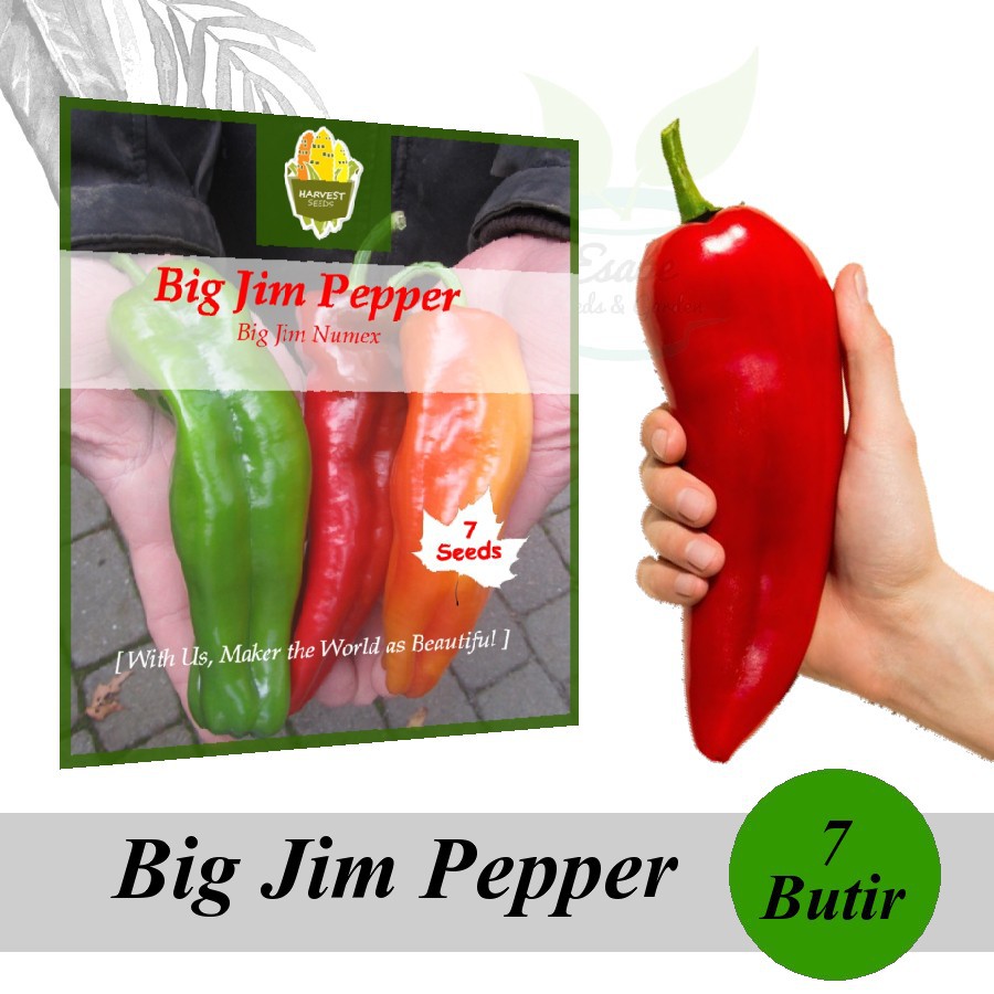 Jual Benih Biji Cabe Raksasa Big Jim Cabe Terbesar Didunia - Harvest ...