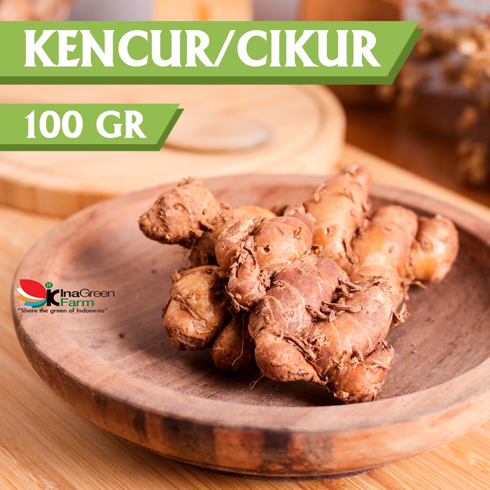 Jual Inagreen Farm Bandung Kencur / cikur 100 Gram | Shopee Indonesia