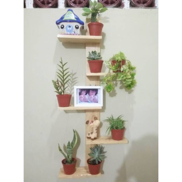 Jual Rak dinding bunga kaktus interior | Shopee Indonesia