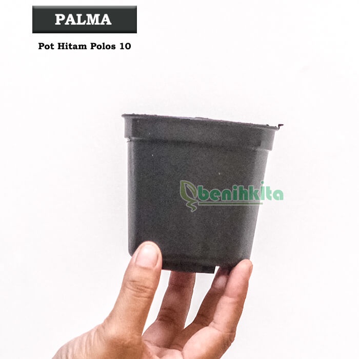 Jual Pot Hitam Polos 10cm (Palma) | Shopee Indonesia