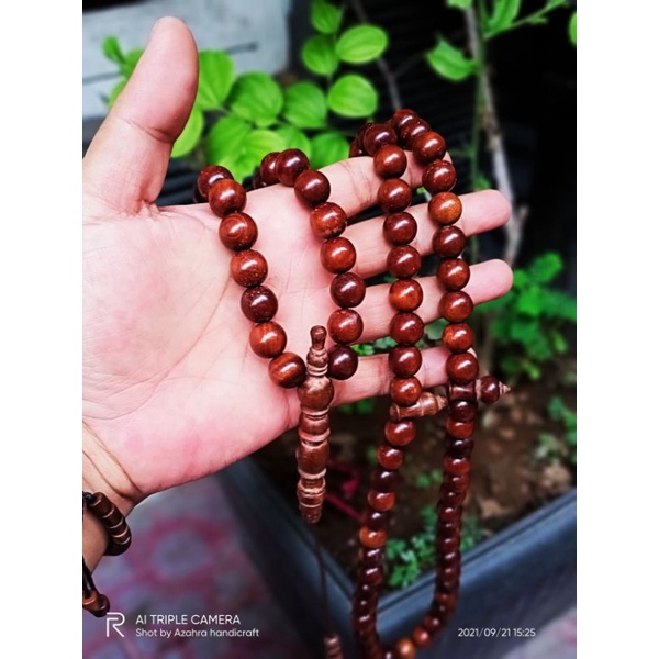 Jual tasbih setigi laut asli 12 mm isi 99 tasbih stigi laut super ...