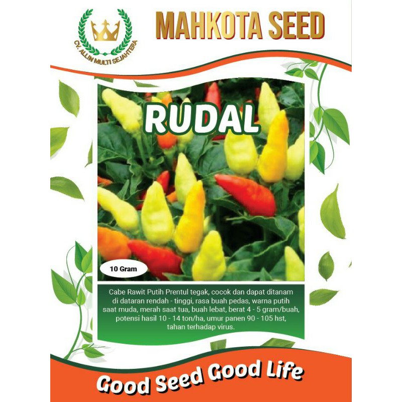 Jual Benih Cabe Rawit Prentul Tegak dari Mahkota Seed Rudal - 10 gram ...