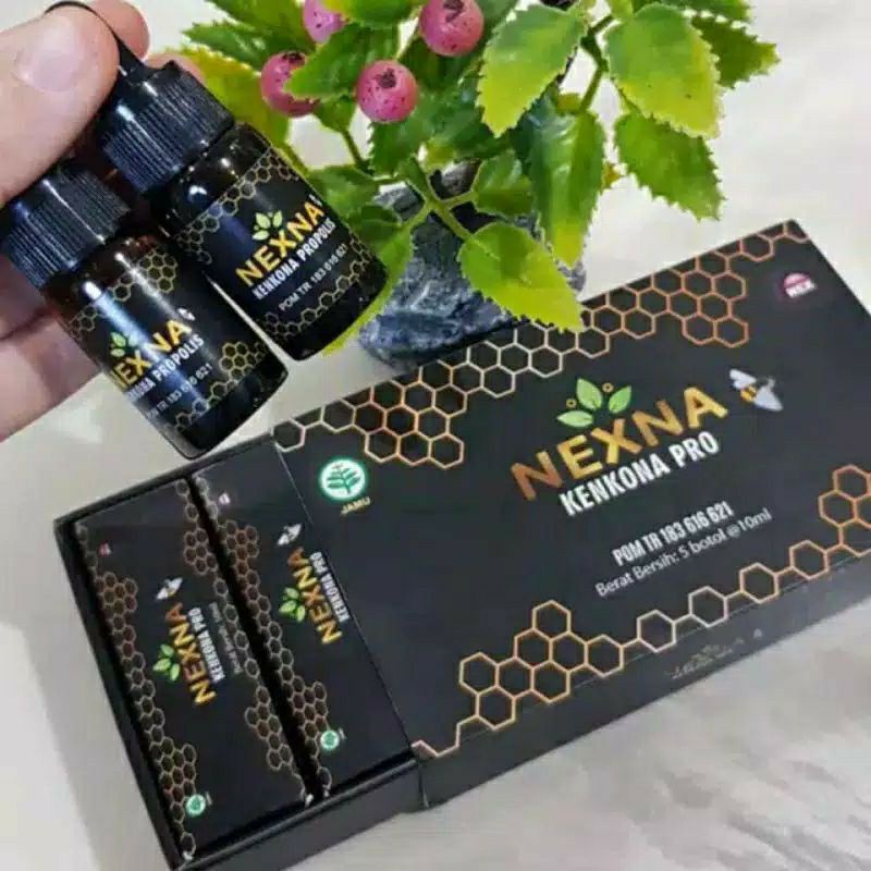 Jual NEXNA KENKONA PROPOLIS NEX 1BOX ISI 5 BOTOL NEXNA KENKONA PROPOLIS ...