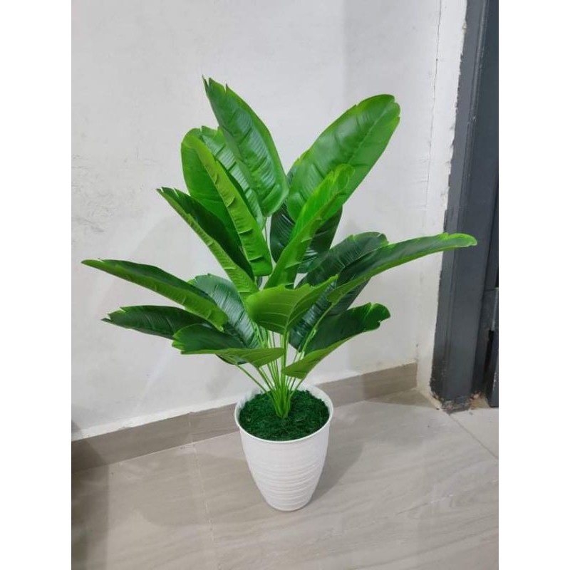 Jual Pohon Pisang palsu Artificial Tanaman Plastik Dekorasi 55cm + 18 ...