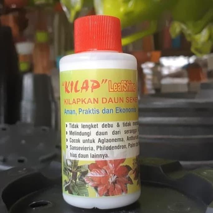 Jual KILAP LEAFSHINE 100ml pengkilap daun bikin tanaman kelihatan ...