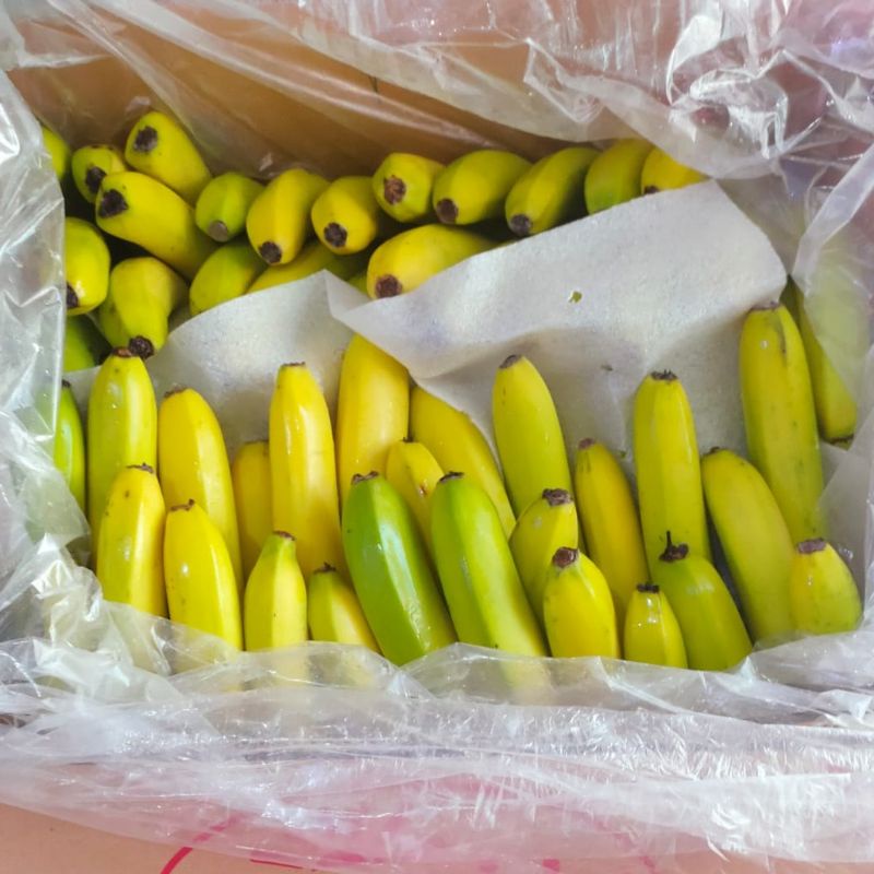 Jual Buah Pisang Cavendish Sunpride Fresh 1 Kg | Shopee Indonesia