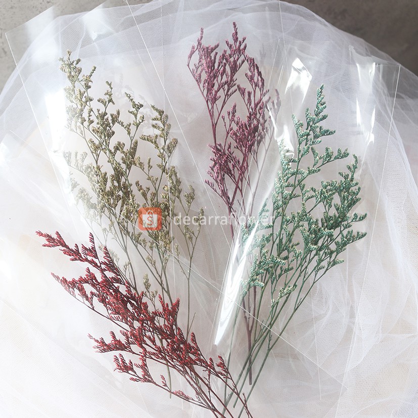 Jual [ECER] Preserved Caspea / Dried Flowers / Bunga Kering / Bunga ...