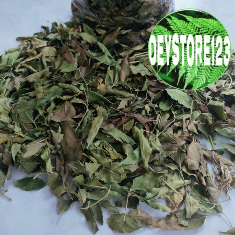 Jual 300 Grm Daun mindi kering asli murni | Shopee Indonesia