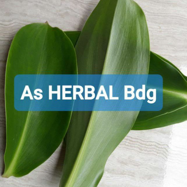 Jual Jual daun pacing segar daun umbi pacing 250 gram-az | Shopee Indonesia