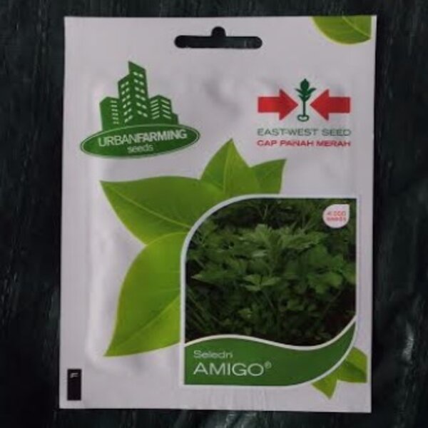 Jual Benih Bibit Seledri Amigo 4.000 Biji Tanaman Daun Sop Cap Panah ...