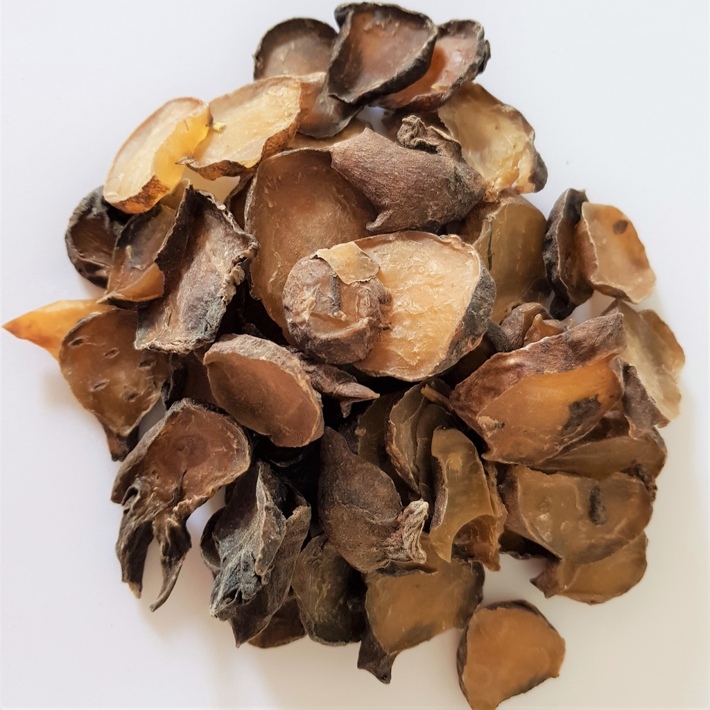 Jual [50gram] Pao Fu Zi - [ 刨附子 ] - Aconitum Carmichaeli | Shopee Indonesia