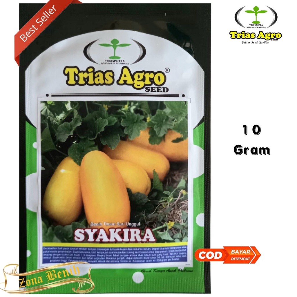 Jual Benih Timun Suri Unggul SYAKIRA Isi 10 Gram Bibit Timun Suri Kuning | Shopee Indonesia