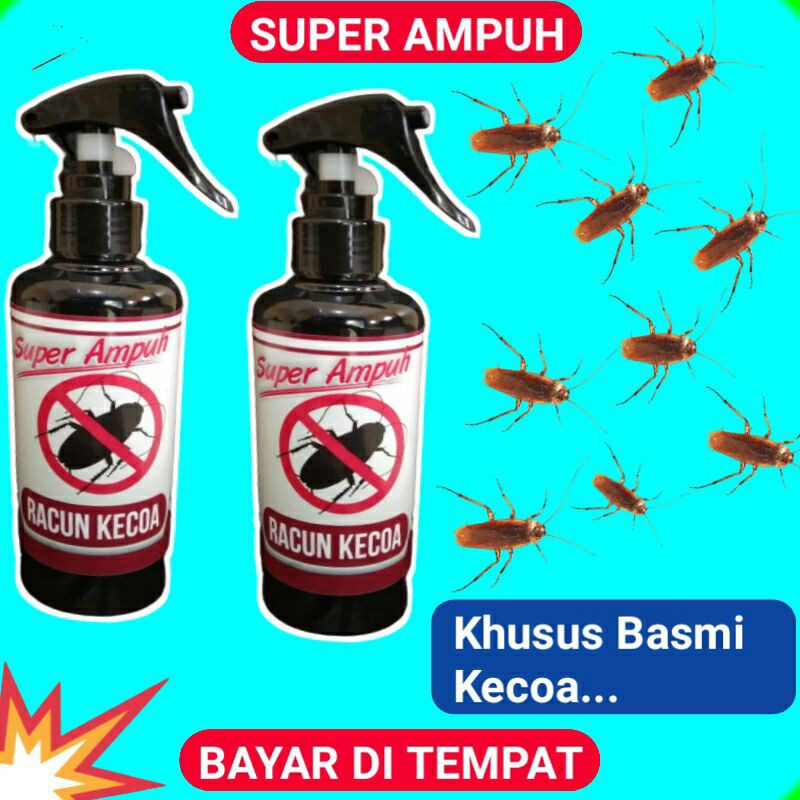 Jual RACUN PEMBASMI KECOA OBAT ANTI KECOA KECOAK PENGUSIR KECOA KECOAK ...